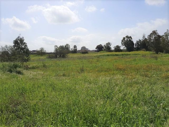 Terreni in Vendita o all'Asta Online - Quimmo