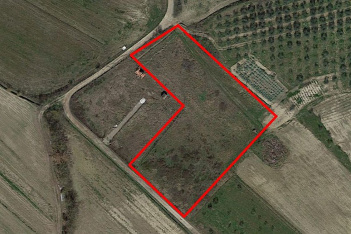 Asta Immobile Terreno 7449 Terreno Agricolo Di 5 000 Mq Real Estate Asta Immobile Terreno 7449 Terreno Agricolo Di 5 000 Mq Real Estate